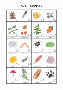 "Wald-Bingo" + "Wald und Wiesen Bingo Herbst"- PDF Material für die ...