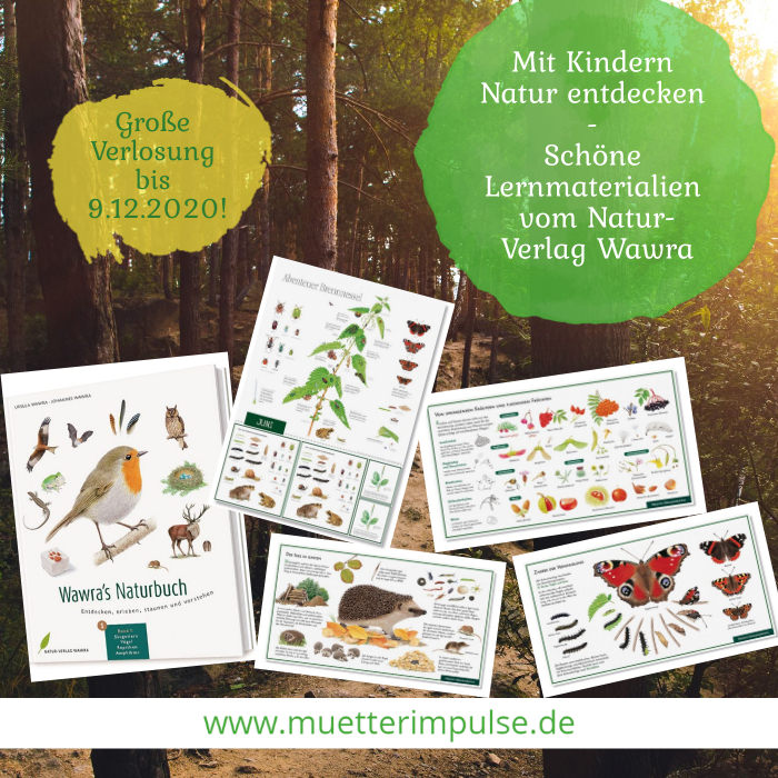 Mit Kindern Natur entdecken - Schönes Lernmaterial + VERLOSUNG! Mit Kindern Natur entdecken - Schönes Lernmaterial + VERLOSUNG!